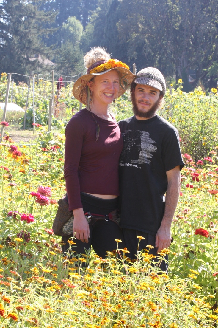 Peace Seedlings – Energy Park